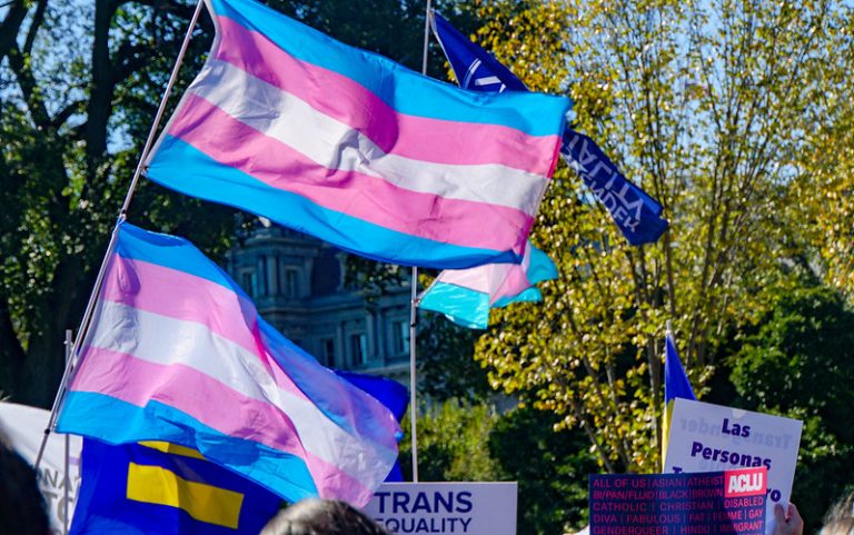The History Behind International Transgender Day of Visibility - Ms ...
