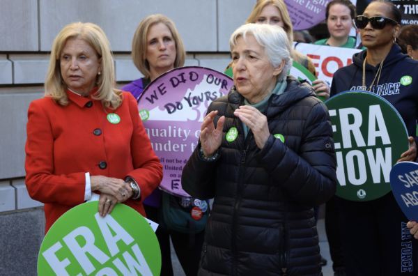 Women's Rights and Legal Advocates Continue Push for Recognition of ...