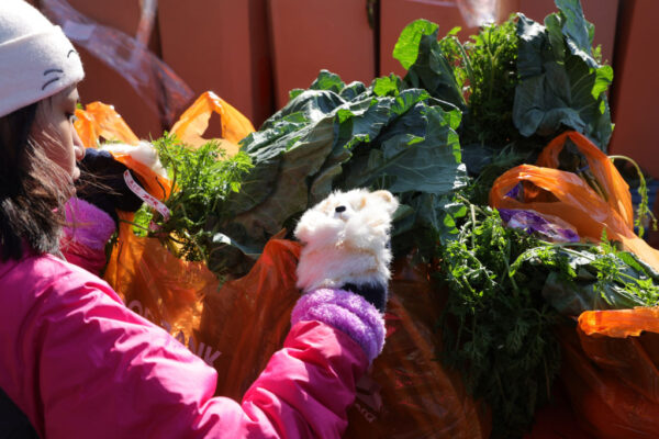 More Than a Holiday Wish: Ending Hunger in America - Ms. Magazine