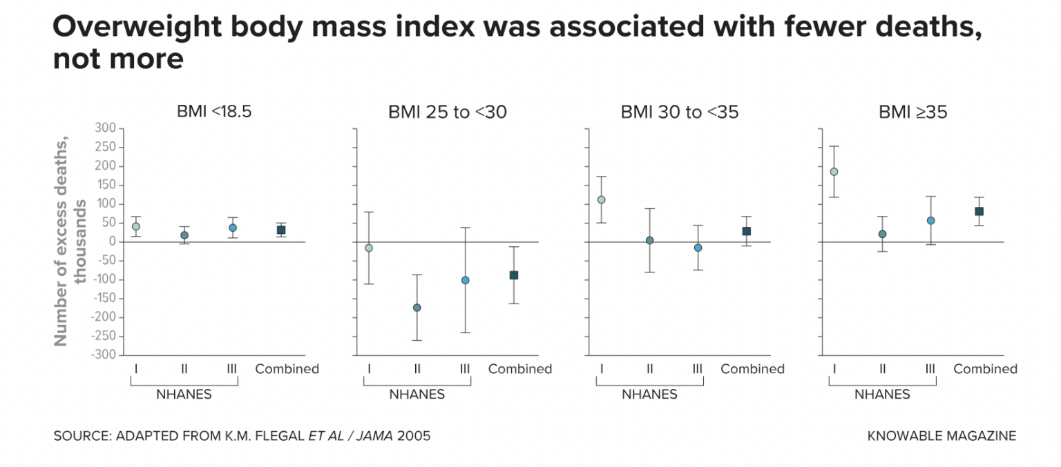 Fighting Fatphobia and Embracing ‘Unshrinking’: The Ms. Q&A With Kate Manne - Ms. Magazine