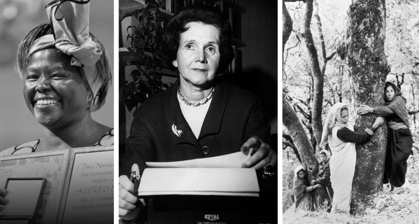 In Praise of Difficult Women - Ms. Magazine