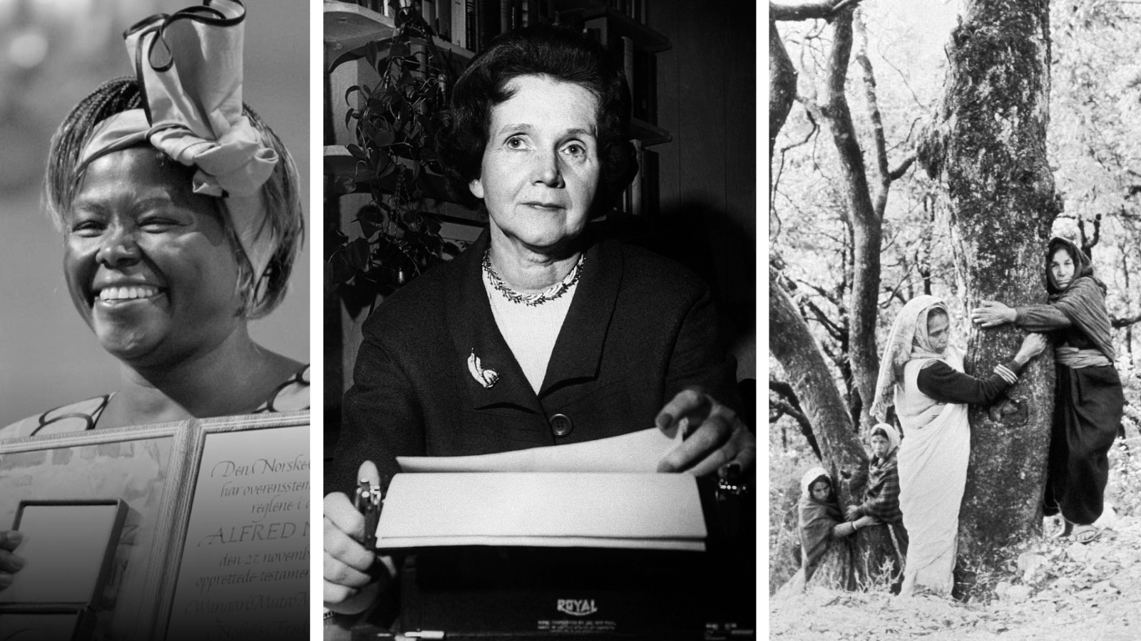 From Rachel Carson to Wangari Maathai—Meet the Women Who Ignited ...