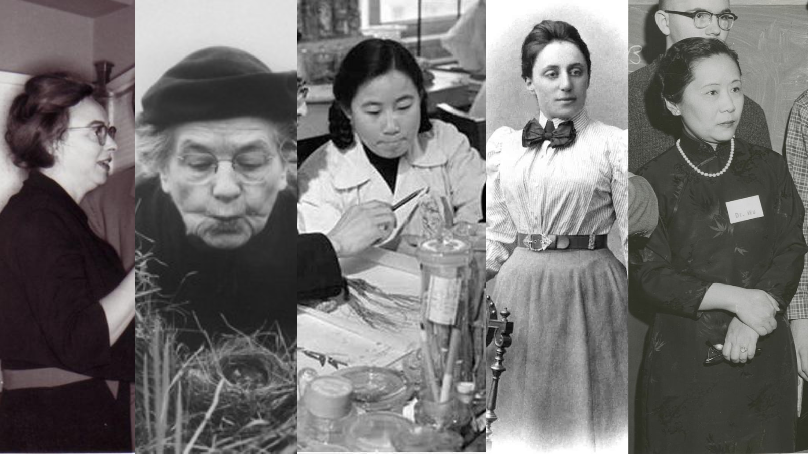 Women’s History Month: Five Groundbreaking Researchers Who Mapped the ...